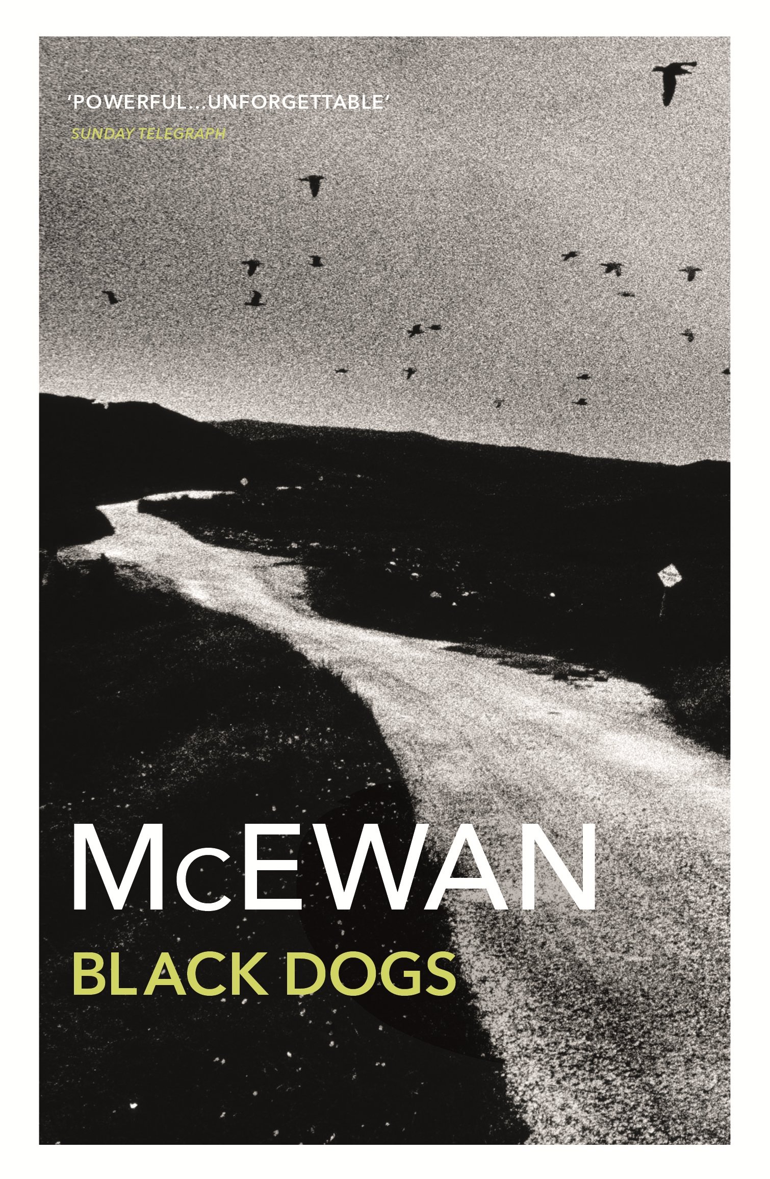 In Between the Sheets, Black Dogs and First Love, Last Rites ...