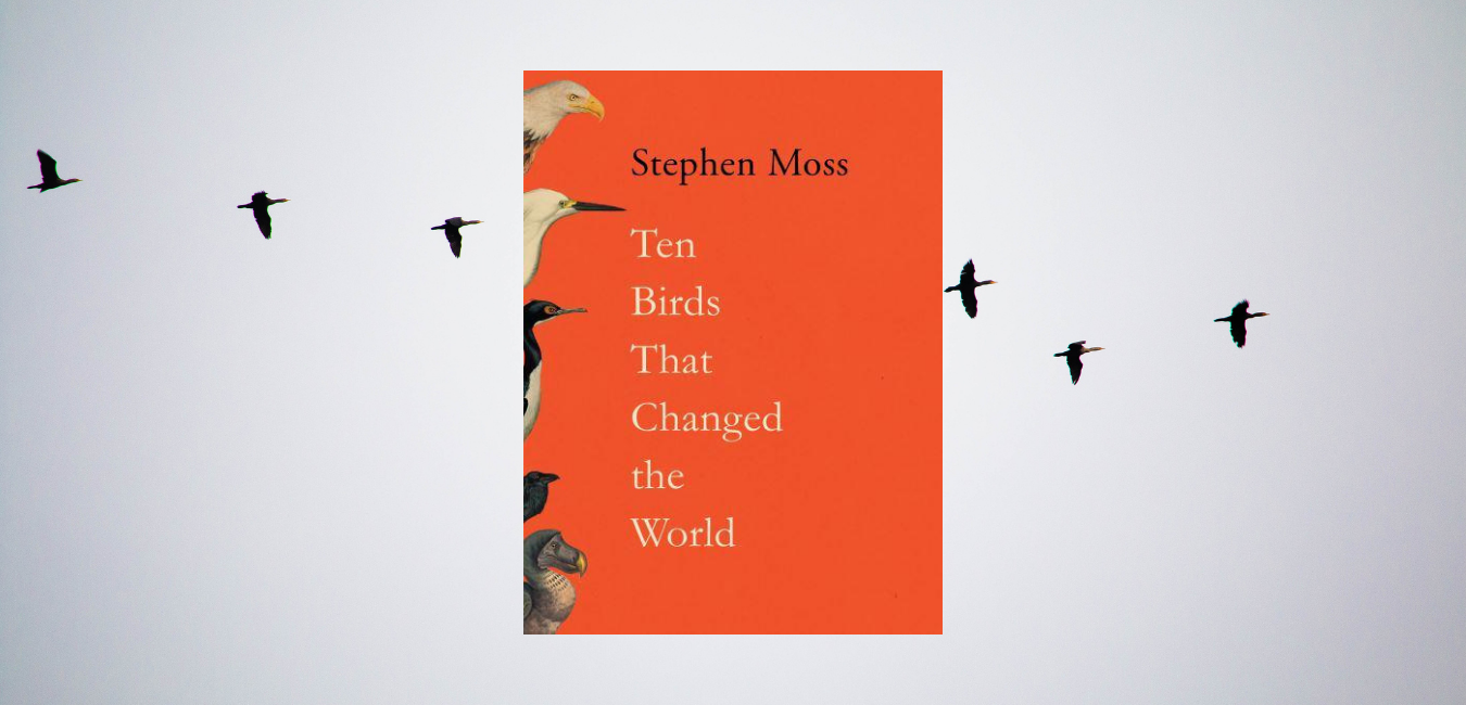 Ten Birds that Changed The World by Stephen Moss – Chatterbox Audio