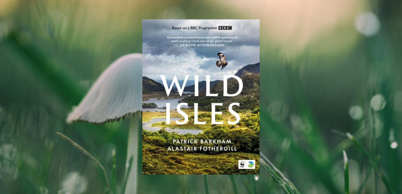 The Wild Isles by Patrick Barkham and Alastair Fothergill – Chatterbox ...